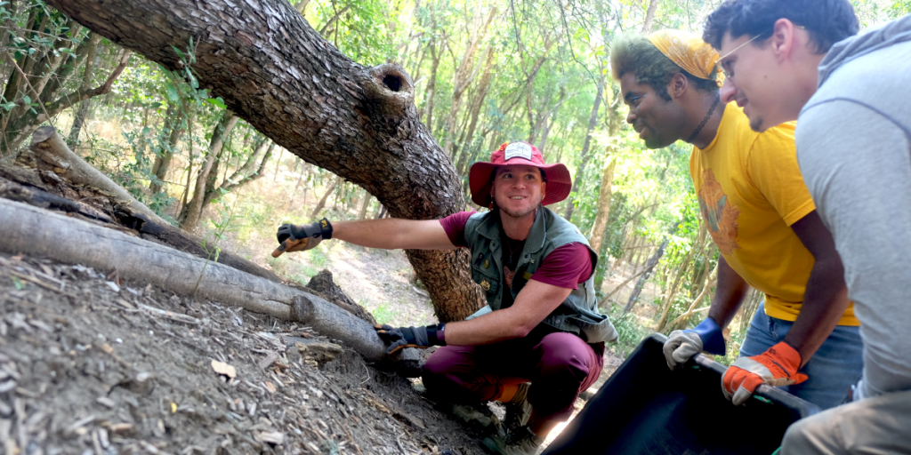 Net-Zero Hero: Danny Martin | AustinTexas.gov